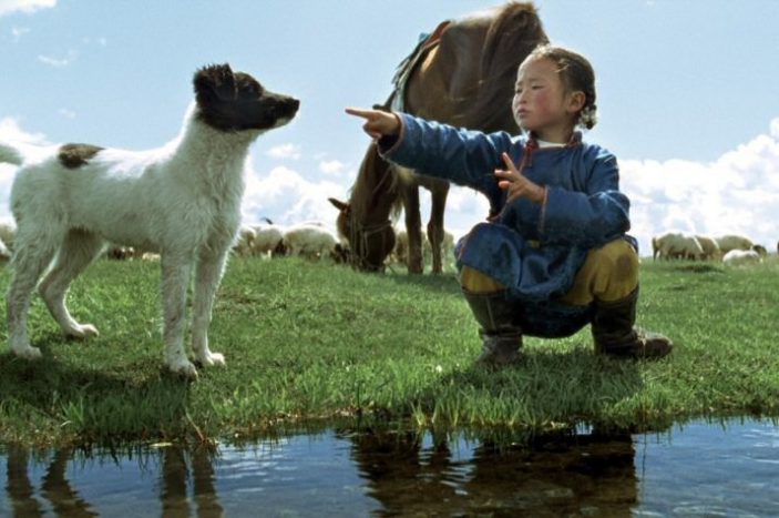 EastAsiaUN VENT D'ASIE - LE CHIEN JAUNE DE MONGOLIE DE BYAMBASUREN ...